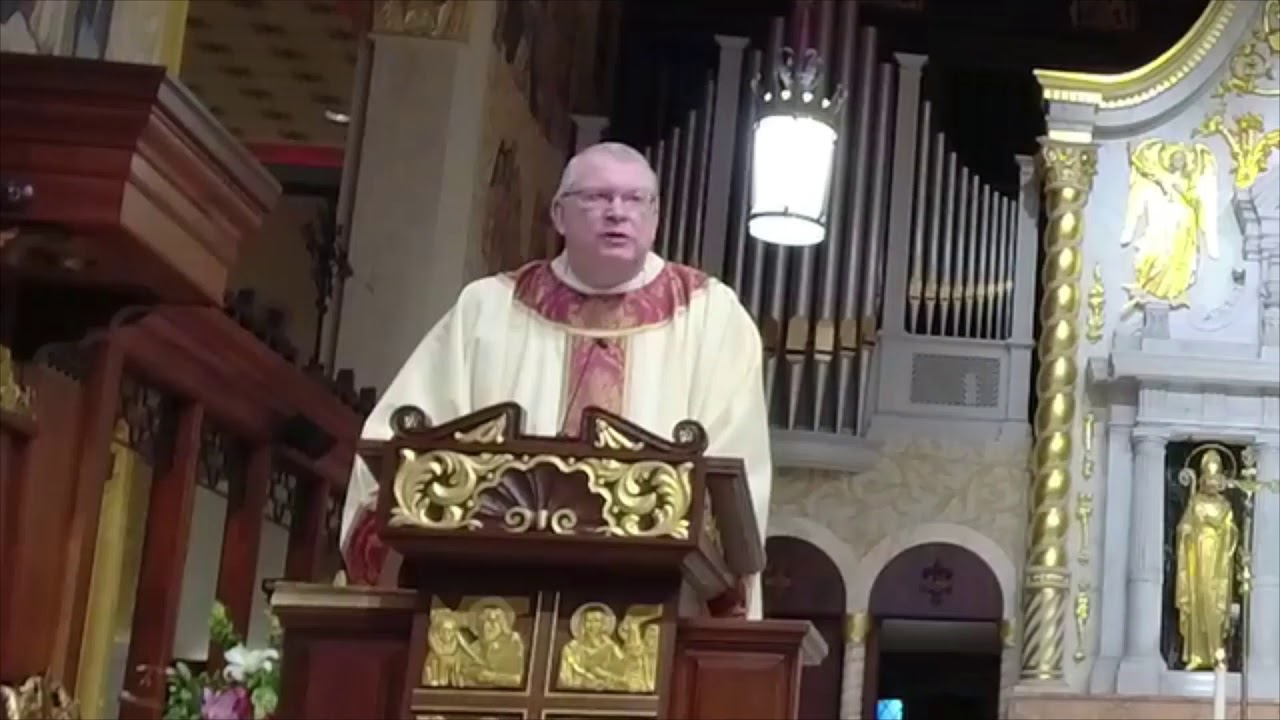 150 Anniversary of the Cathedral, Homily, Fr Tom Willis - YouTube