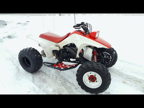 The BEAST Is Here...BIG BORE TRX250r!!! (INSANE) - YouTube