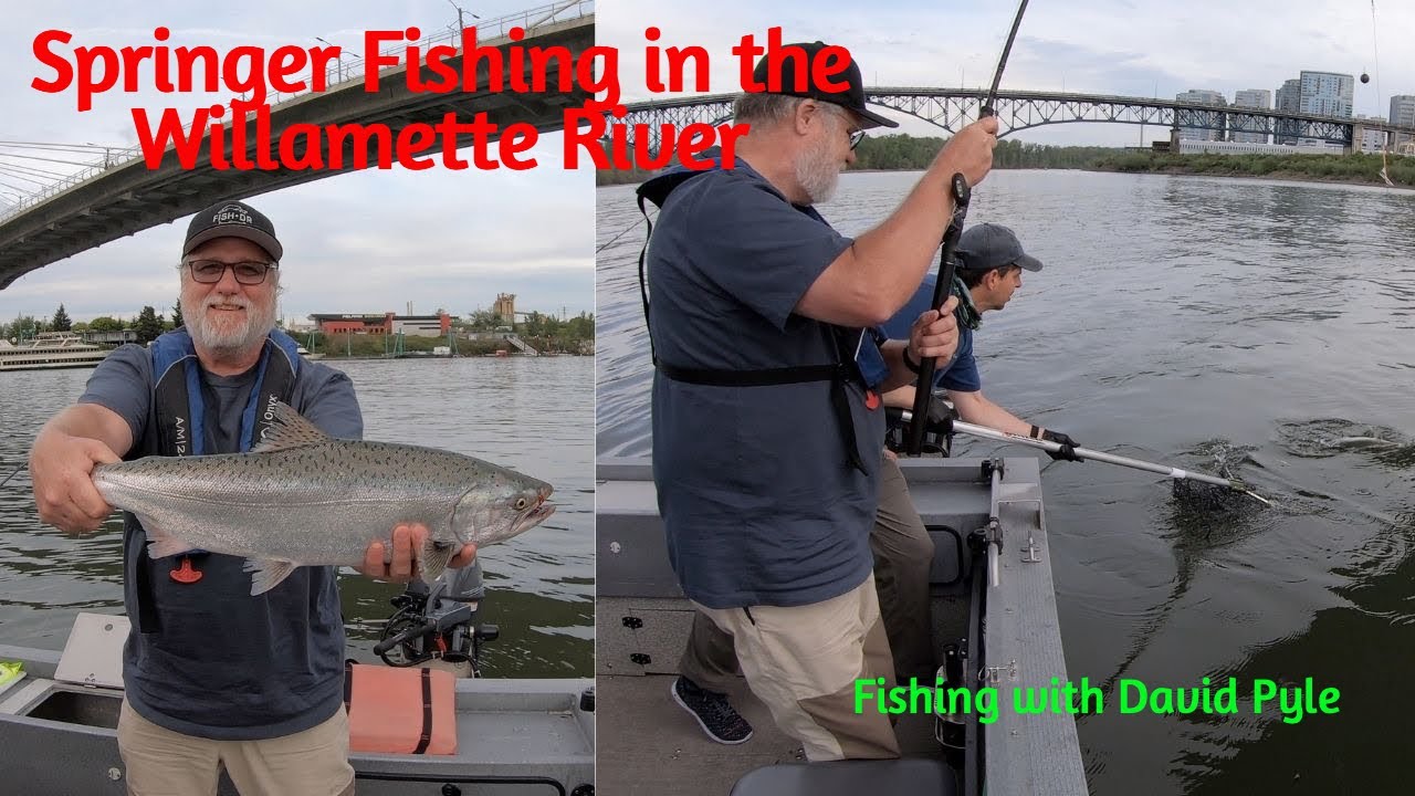 Evening Springer fishing in Portland, Oregon. - YouTube