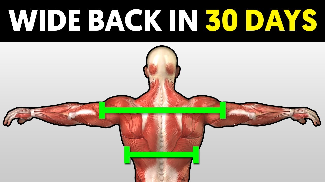How To Get a Wider Back in 30 Days - YouTube