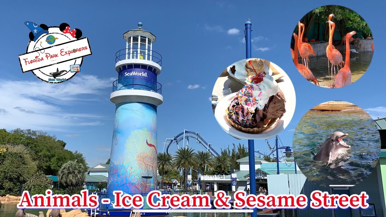 Exploring SeaWorld Orlando - Stingrays, Dolphins, Edie’s Ice Cream ...