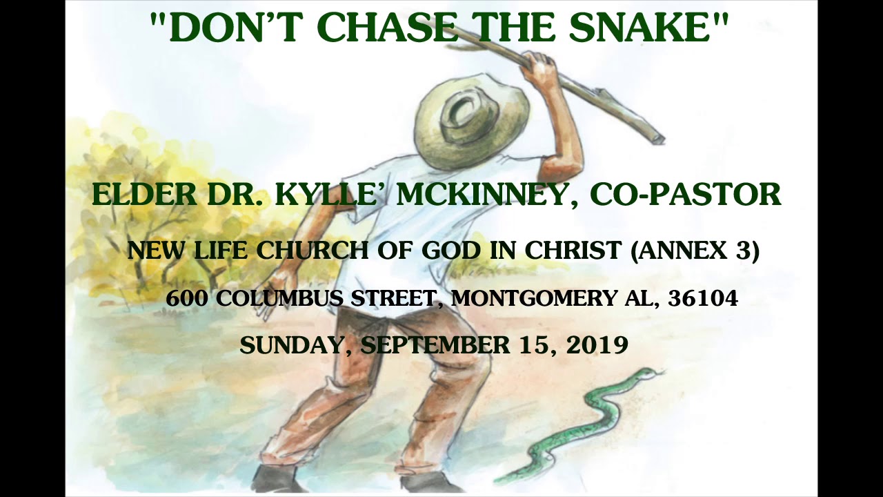 "DON'T CHASE THE SNAKE" SERMON BY DR. KYLLE' D. MCKINNEY - YouTube