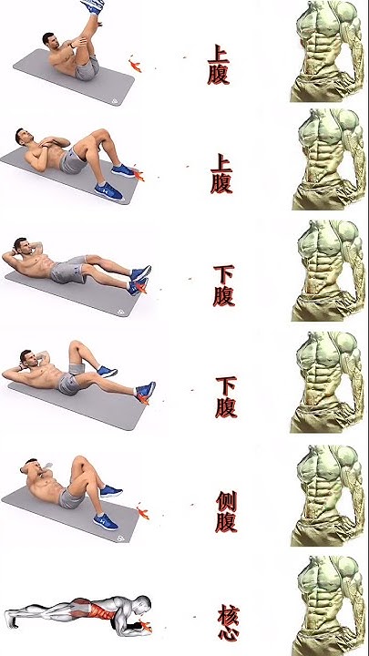 全方位腹肌训练夏天练出你的完美八块腹肌马甲线打卡 每个动作做四组 每组15次 组间休息30秒″ 健身 腹肌训练 每日一练 Youtube