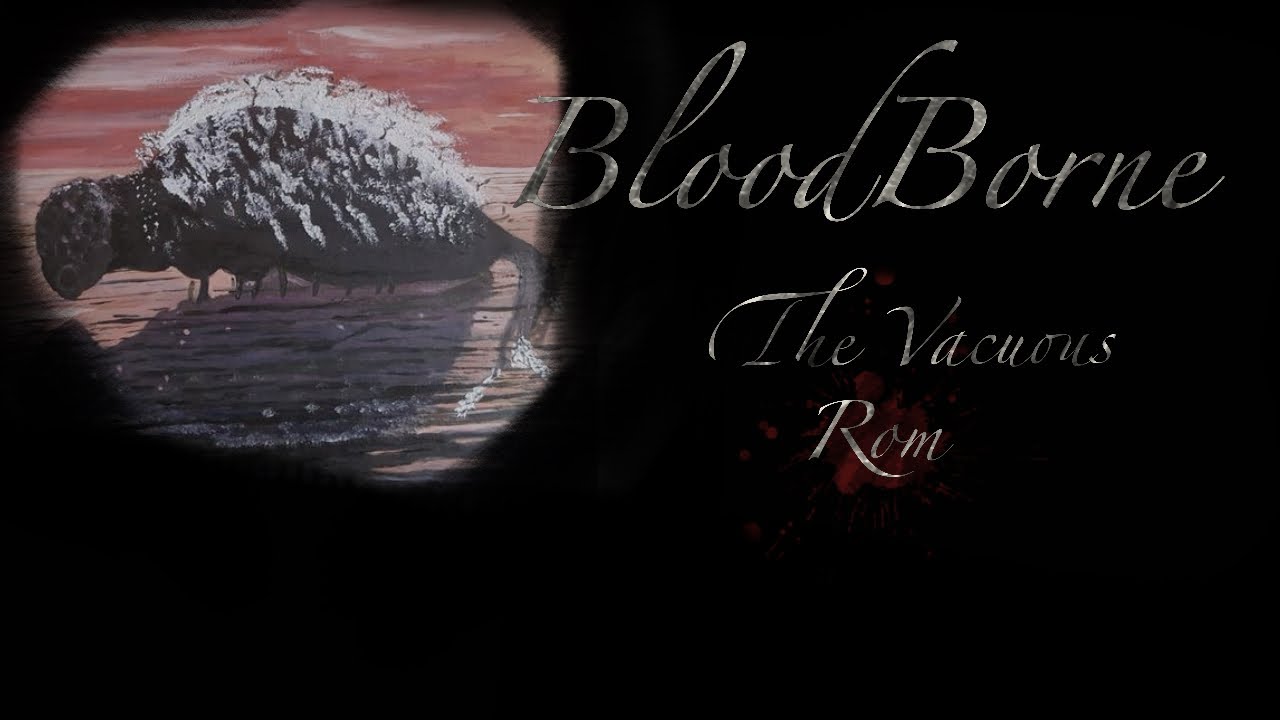 Bloodborne: The Vacuous Rom - YouTube