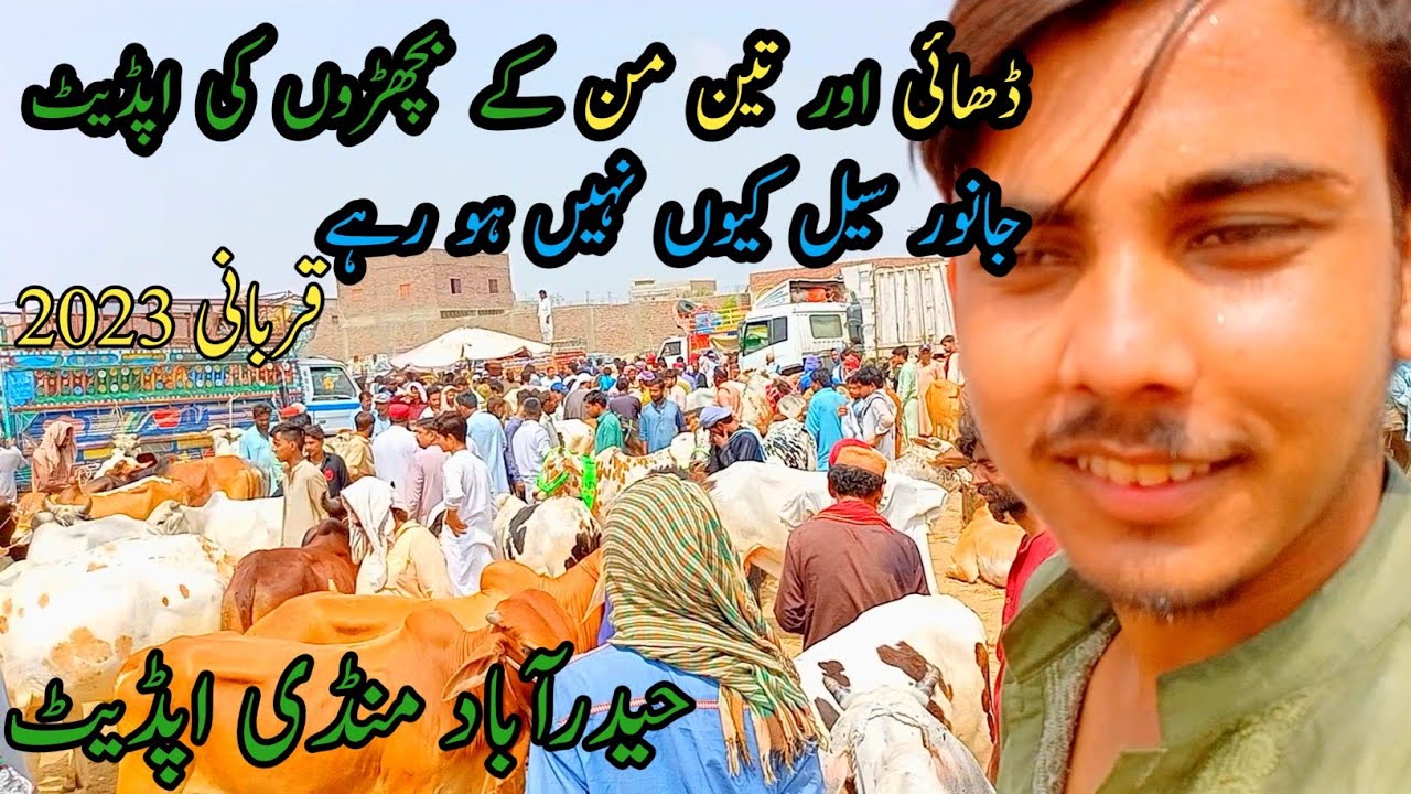 Janwar Movies Clip 2018 Youtube