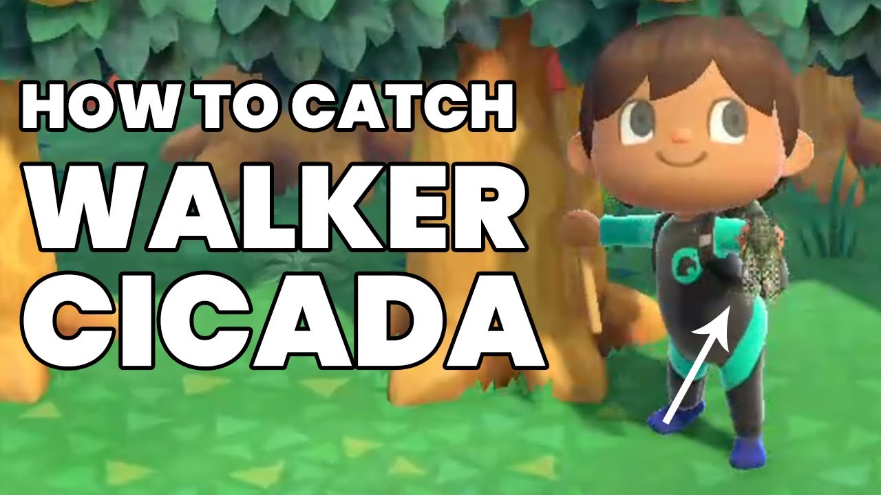 How to catch Walker Cicada in Animal Crossing New Horizons (ACNH ...