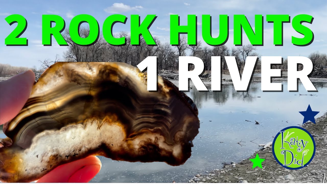 ROCKHOUNDING for AGATES on Montana's Yellowstone River - YouTube