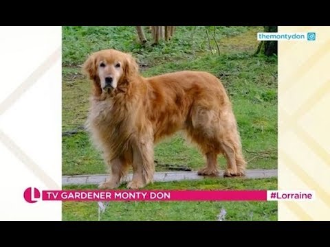 Monty Don pays emotional tribute to dog Nigel in heartfelt interview ...