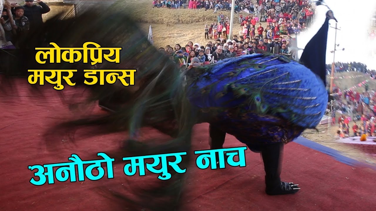 मयुर नाँच | MAYUR DANCE | Peacock Dance Nepal - YouTube