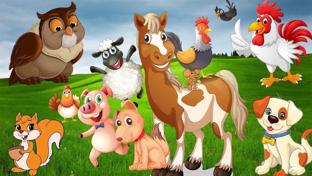 Animal Videos Funny | Animal Fight Videos | Wild Animals | Pet Animals ...