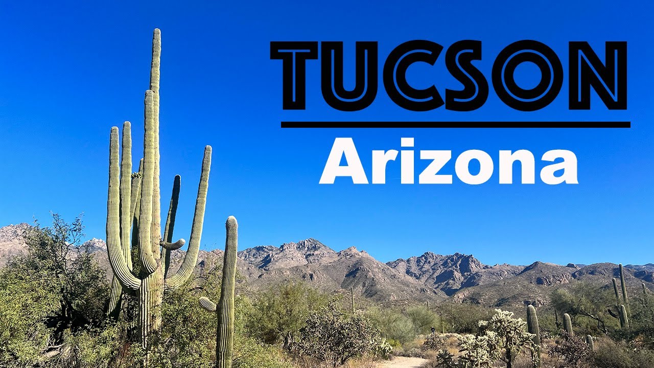 Tucson Arizona Desert Mountains Classic Desert Landscape In Saguaro
