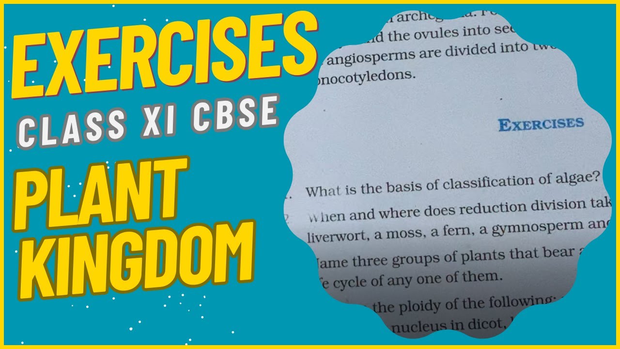CLASS XI NCERT - Plant Kingdom || Back Exercises with ANSWERS || CBSE ...