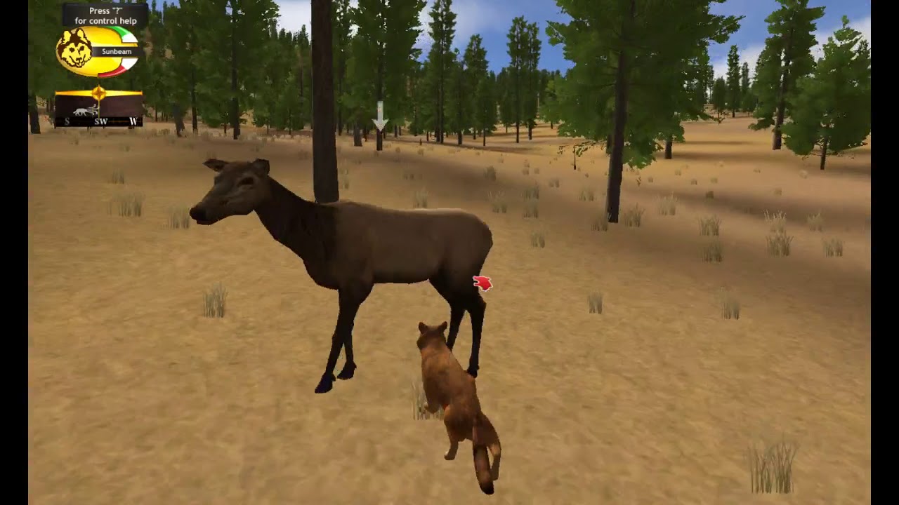 Wolf Quest Let's Play! Episode One! The Dizzy Wolf! - YouTube