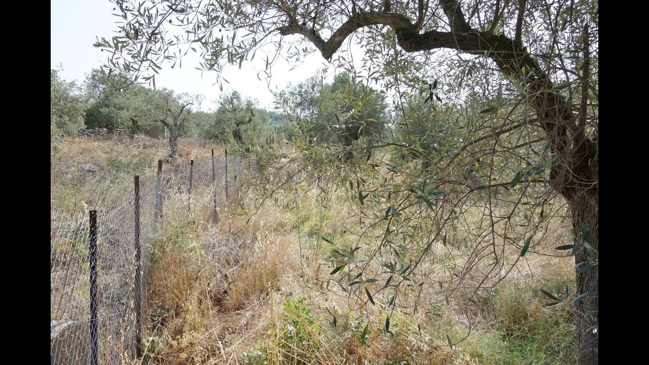 ΠΩΛΕΙΤΑΙ ΑΓΡΟΤΕΜΑΧΙΟ 755 τ.μ ΣΤΗΝ ΧΡΥΣΗ ΑΚΤΗ ΠΑΝΑΓΙΑΣ - ΜΑΓΝΗΣΙΑ | KΩΔ ...