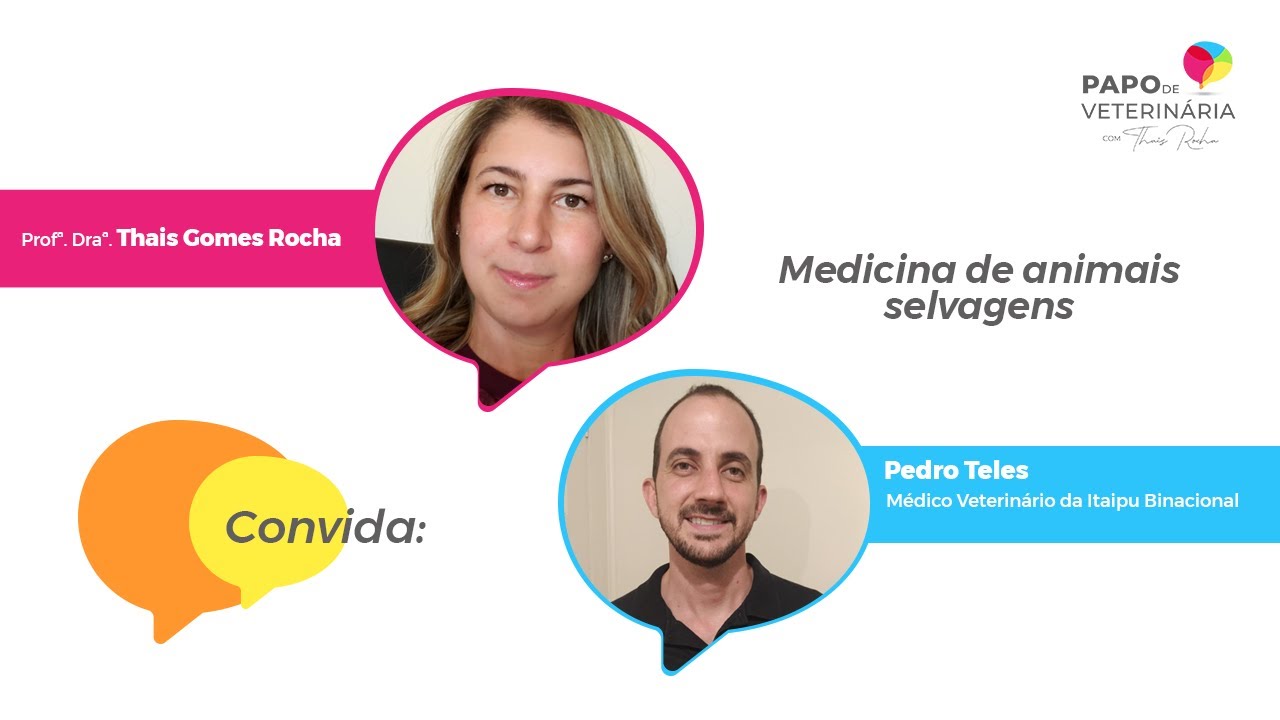 Como é trabalhar com animais selvagens, com Pedro Teles - YouTube