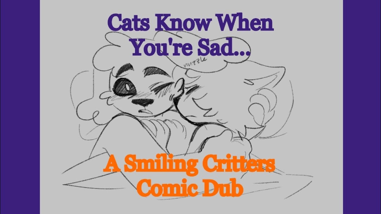 Cats Know When You're Sad...(A Smiling Critters Comic Dub) - YouTube