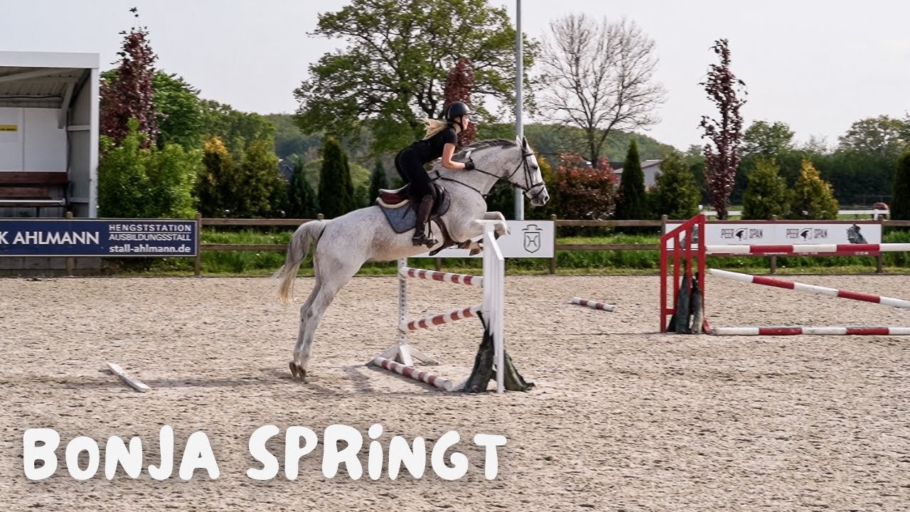 Ich kommentiere unser Springtraining - YouTube