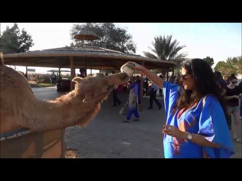 ÇOK GEZENTİ dubai tanıtım