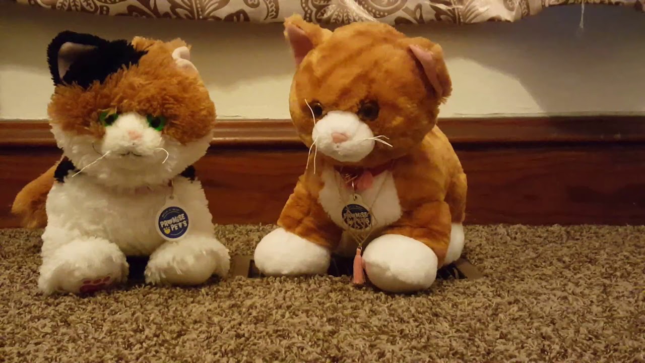 Promise Pets season 4 episode 15 Valentine's Day Date - YouTube