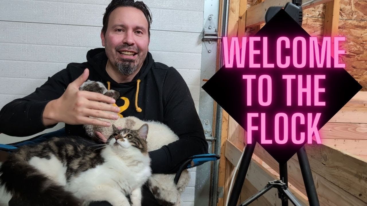 Welcome to our flock! - YouTube