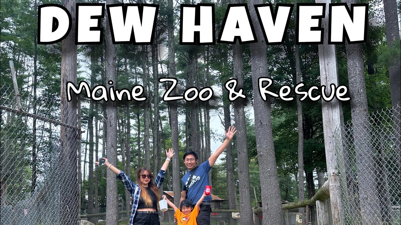 DEW HAVEN MAINE ZOO & RESCUE | MEDTECH HAM - YouTube