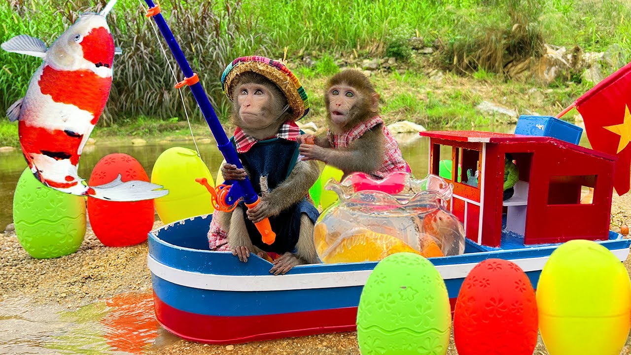 Funniest Animals 2022 😂 Baby monkey Bim Bim goes koi fishing and opens ...