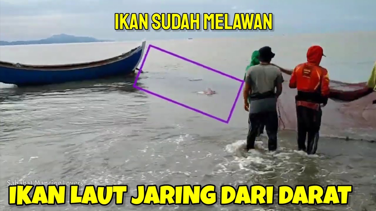 JARING IKAN LAUT DARI DARAT | The Result of Catching a Land Traw - YouTube