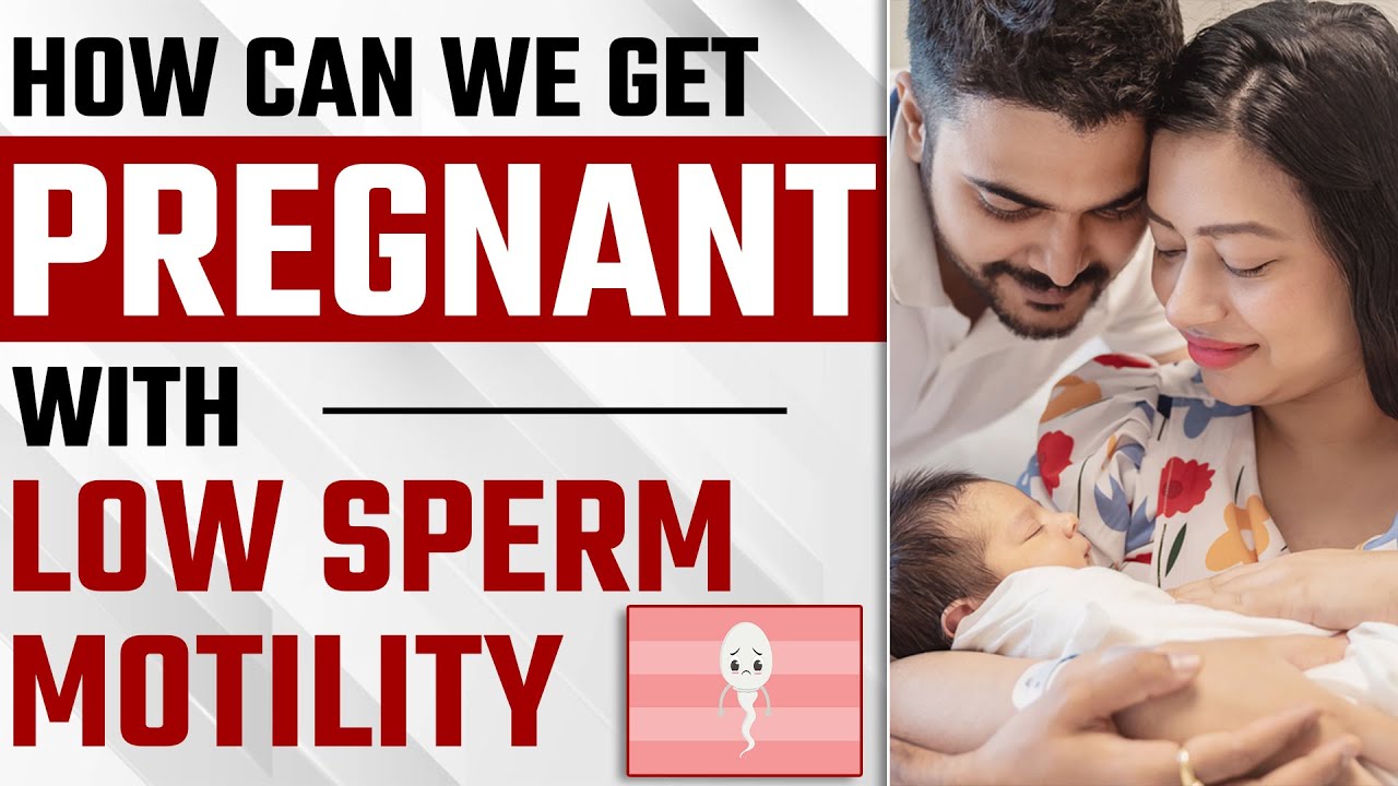 How can we get pregnant with low sperm motility | Sperm Motility कैसे ...
