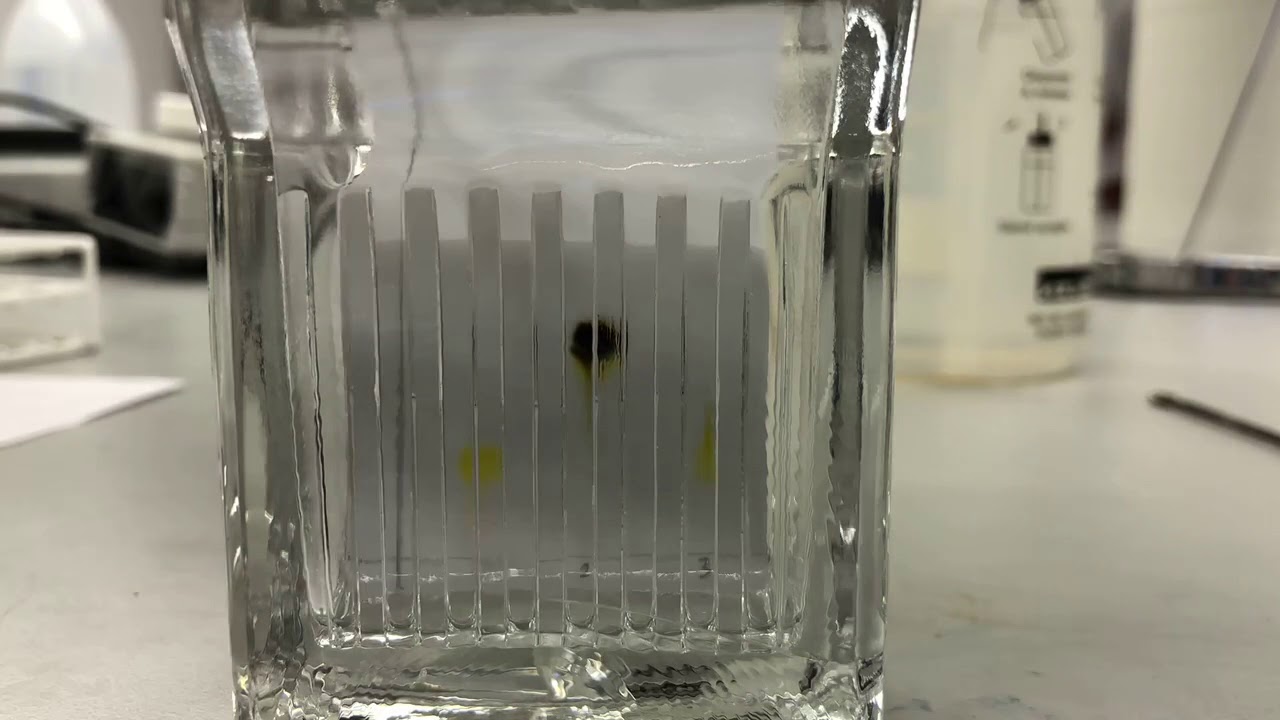 Elektrofil aromatisk substitution - YouTube