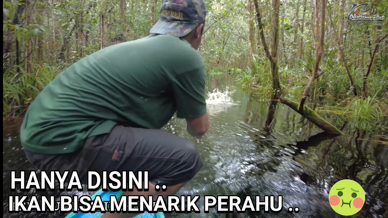 DI SPOT INI PERAHU 4 KALI DITARIK IKAN .. Punggu Alas Hari ke - 2 - YouTube