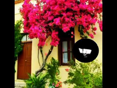 duygusal whatsap durum videolar icin abone olmayi unutmayın lütfen