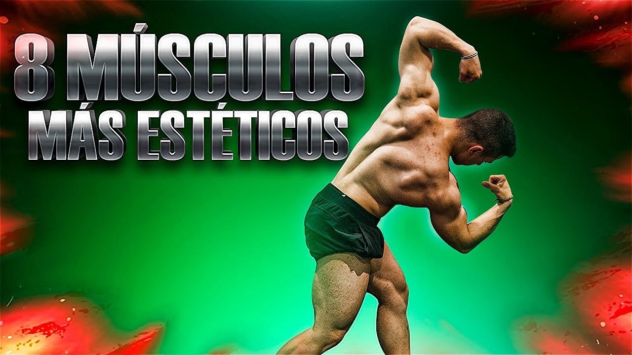 *8 MÚSCULOS 💪🏽 que DEBES ENTRENAR 🏋🏽‍♀️ para un CUERPO MUY ESTÉTICO ...