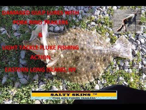 FLUKE FISHING AND UTILIZING DAMAGED GULP LURES WITH PORK RIND TRAILERS ...