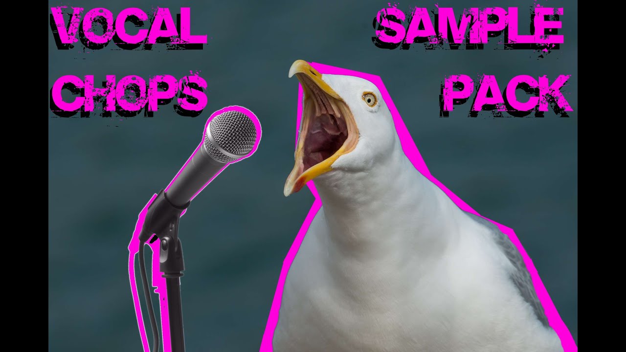 Vocal chops sample pack | Royalty free | FL Studio | Slap House - YouTube