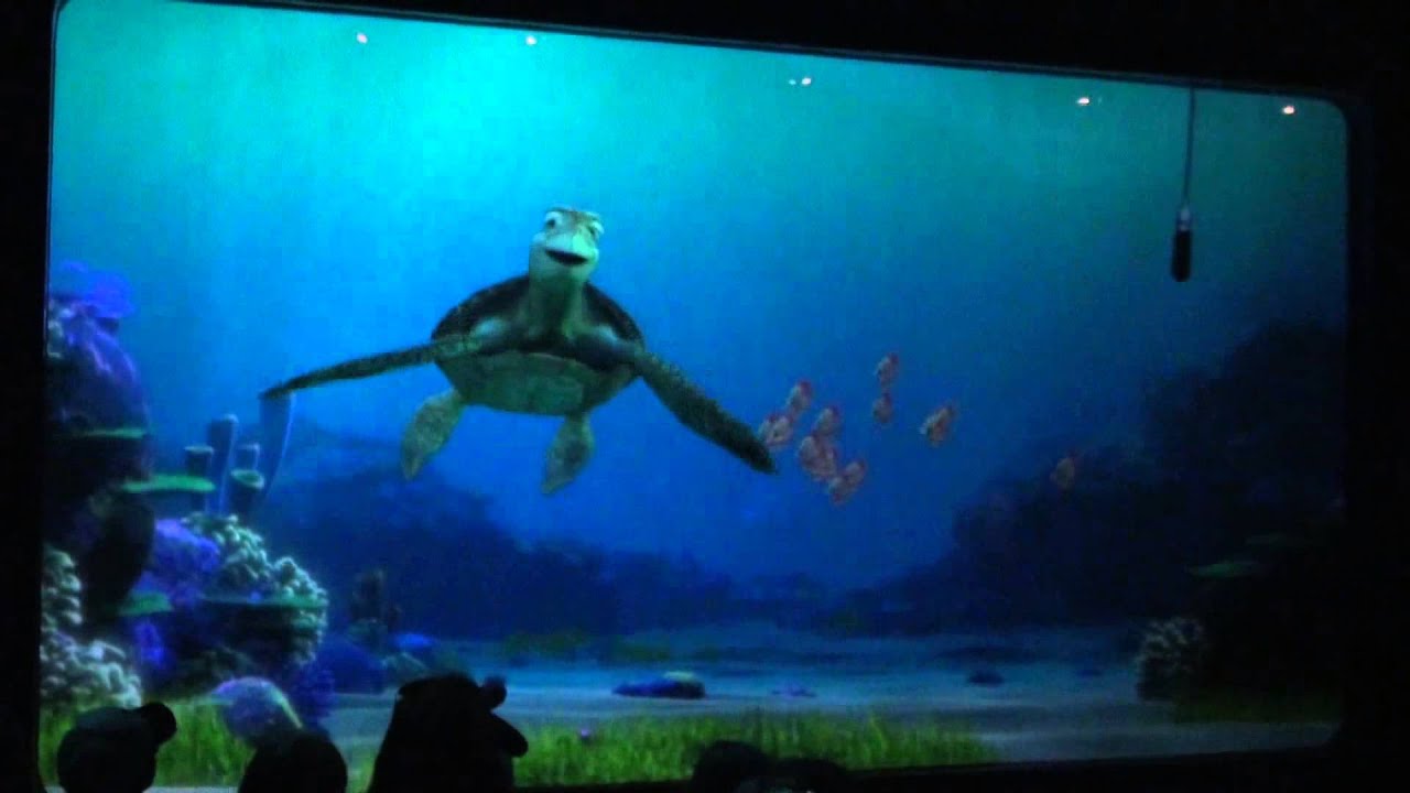 DCA, Disney Animation Building- Turtle Talk with Crush Full HD ...