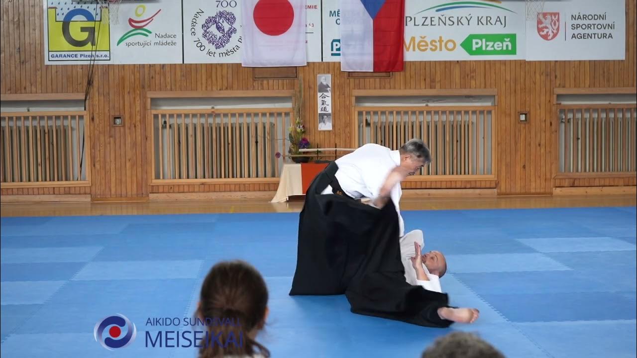 Aikido Ai Hanmi Shihonage Shishiya Sensei Pilsen 2023 - YouTube