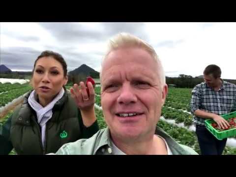 Fresh Market Update - 29.7.18 - BEHIND THE SCENES