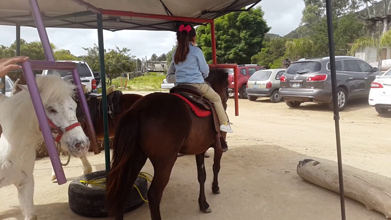 Paseo en Pony - YouTube