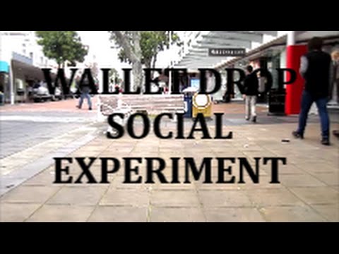 WALLET DROP SOCIAL EXPERIMENT IN NEW ZEALAND - YouTube