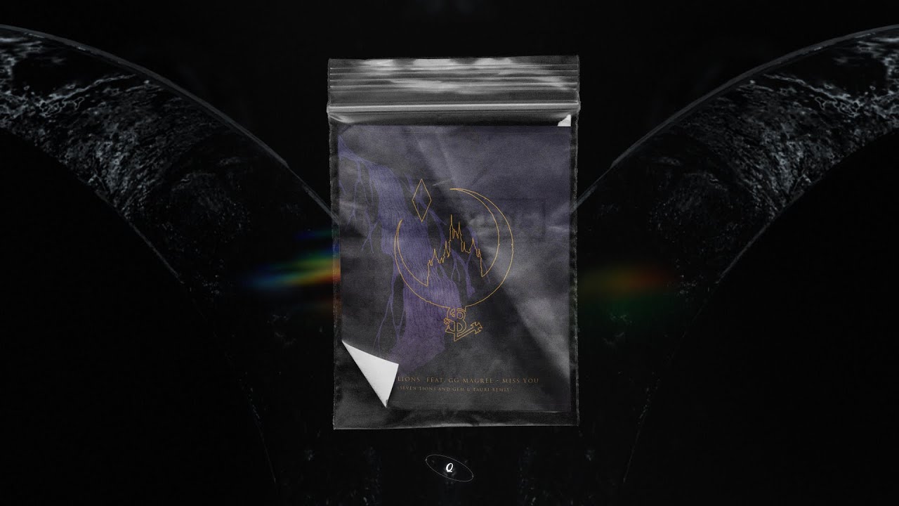 Seven Lions feat. GG Magree - Miss You (Seven Lions and Gem & Tauri ...