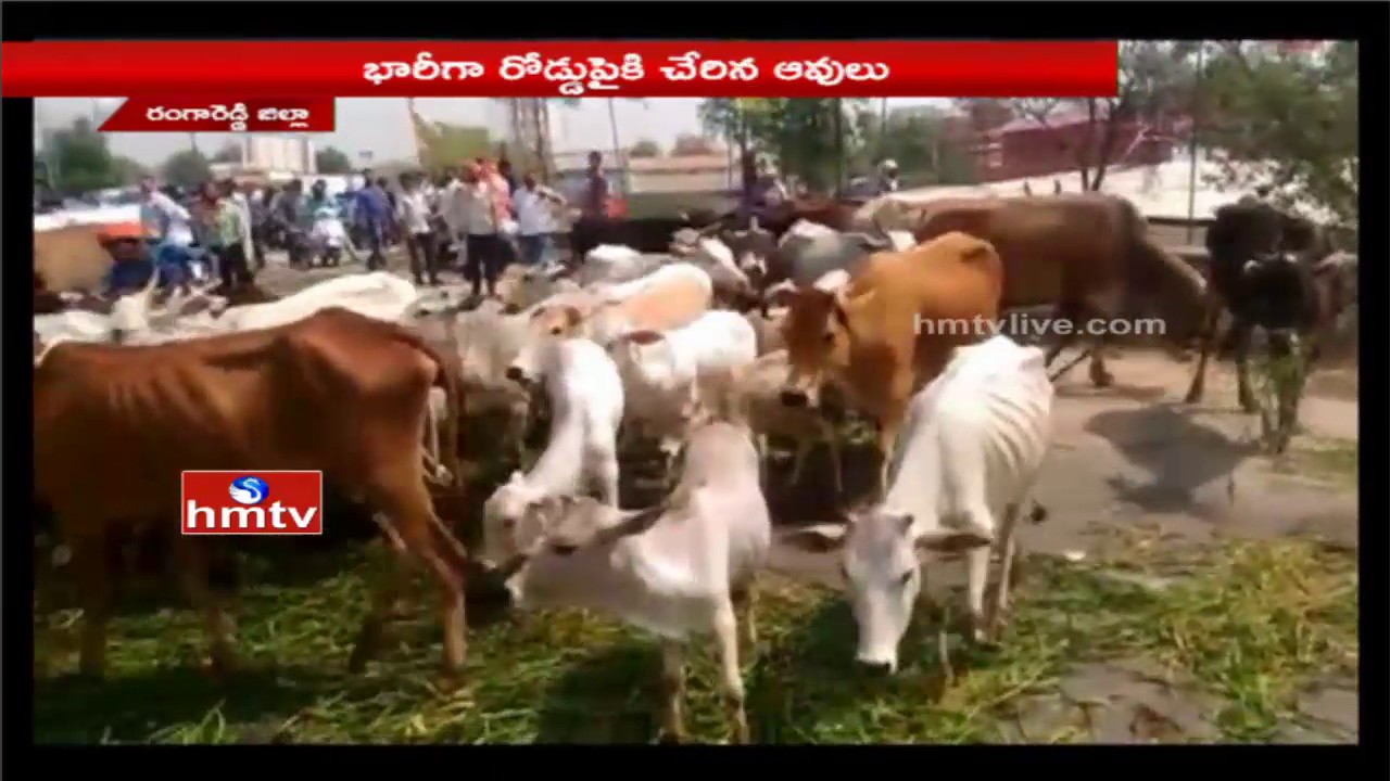 Tension Situation In Injapur: Bajrang Dal & BJP Leaders Agitation Over ...