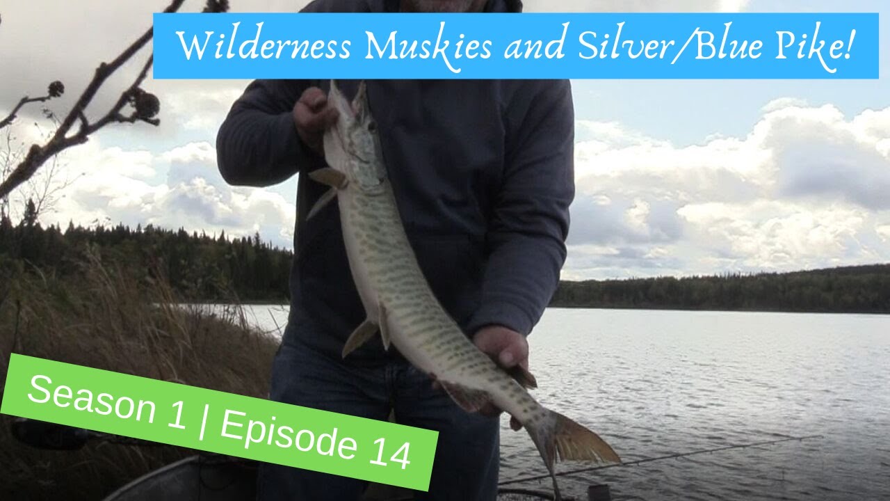 S1 | E13 - Muskies and Silver Blue Pike - YouTube