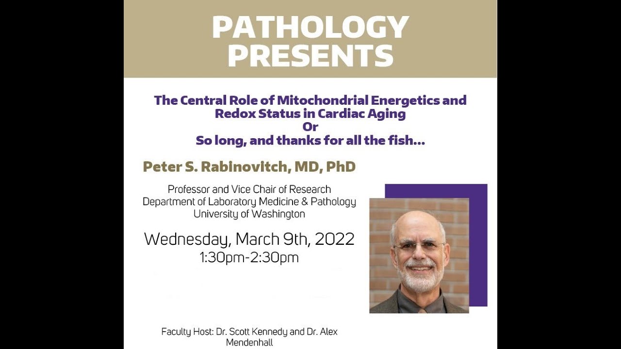 Pathology Presents | Dr. Peter Rabinovitch MD PhD - YouTube