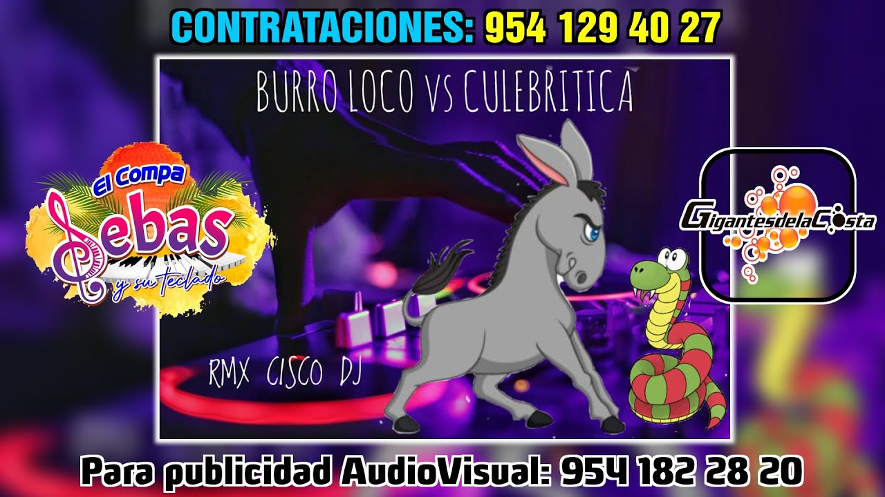 El Burro Loco Vs La Culebritica REMIX 2023 - Cisco DJ Ft El Compa Sebas ...