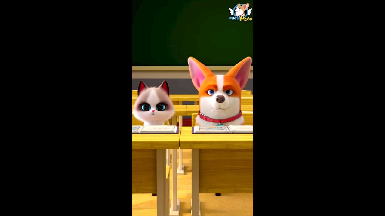 MOCO and YUMMY🐶 | Listening Carefully 專心聽課 | Flying MOCO Shorts 爆笑飛狗 ...