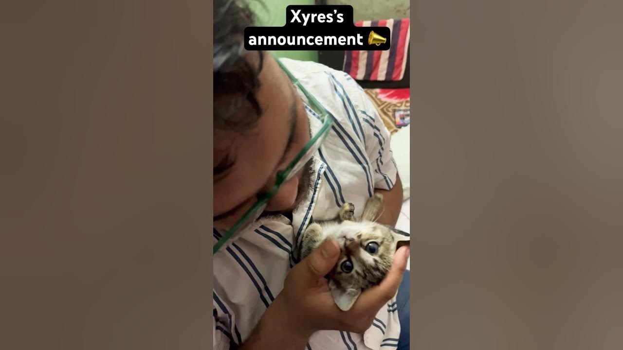 Xyres’s announcement 📣 - YouTube