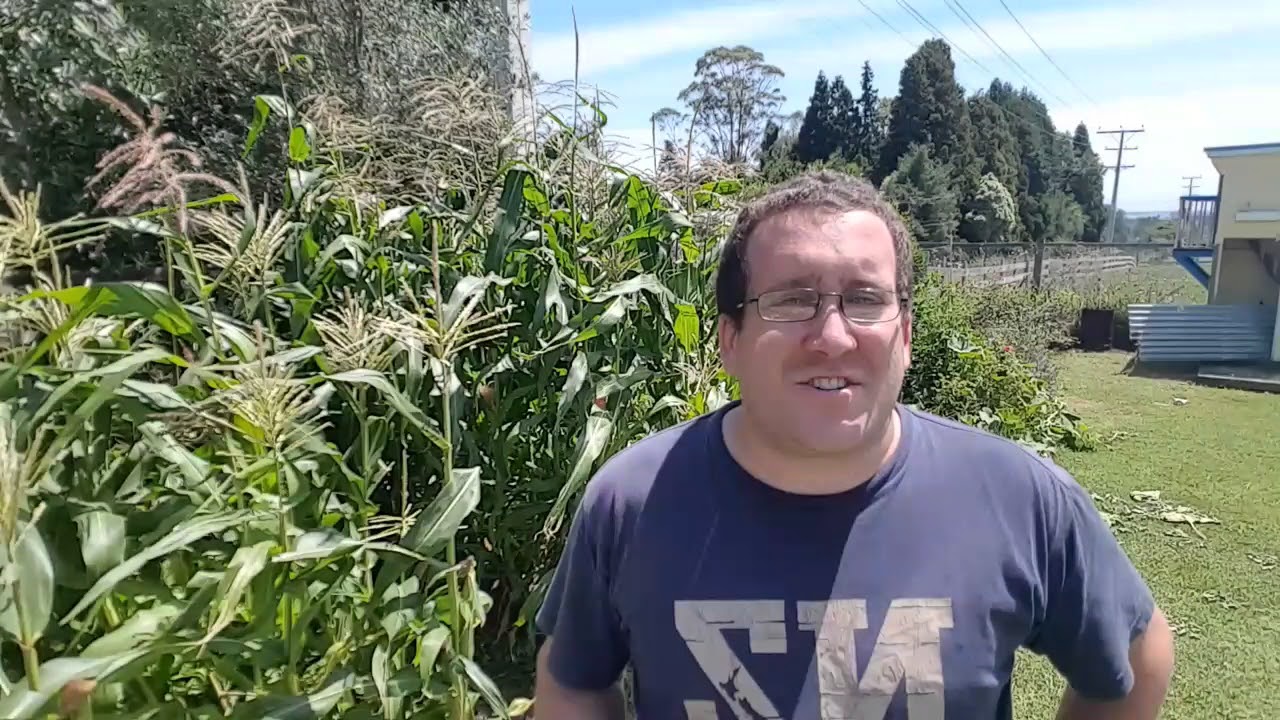 Daily car 3S - 2 Second Lean - YouTube