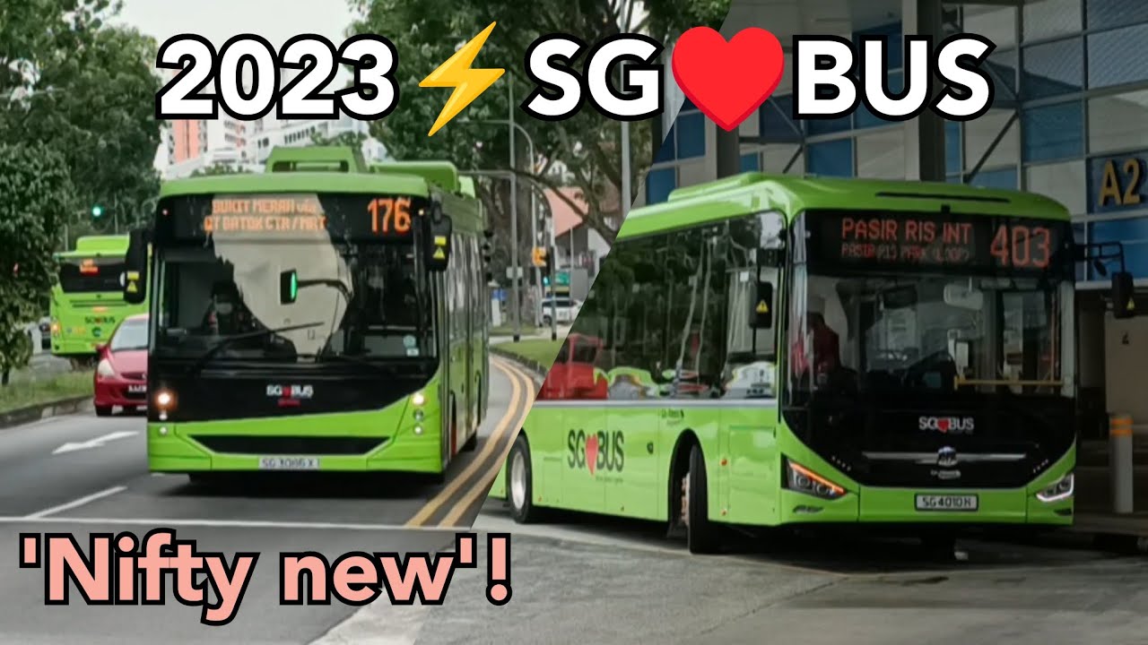 2023⚡SG♥️BUS - A Summary Of ⚡ Buses in 🇸🇬 - YouTube