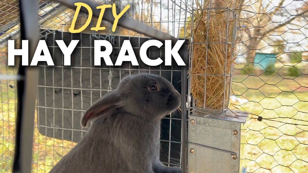 DIY Rabbit Hay Rack - YouTube