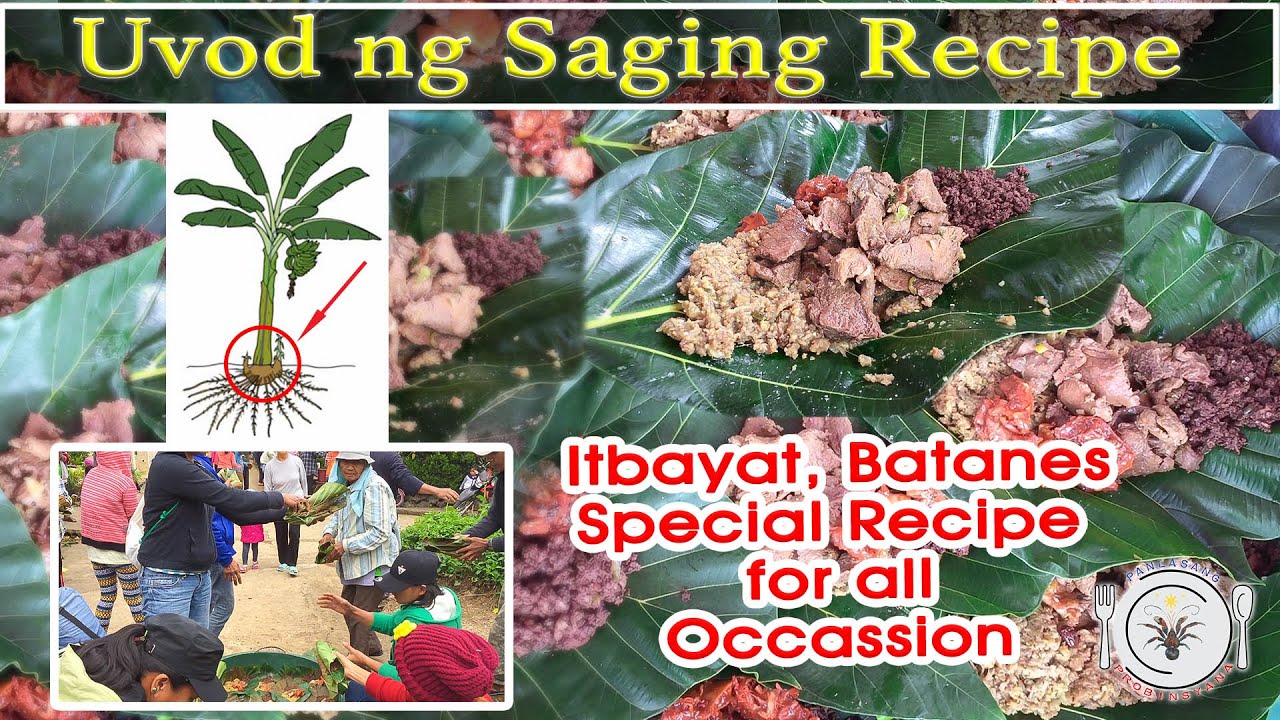 Ubod ng saging, pwede pala kainin? | Recipe | Panlasang Probinsyana ...